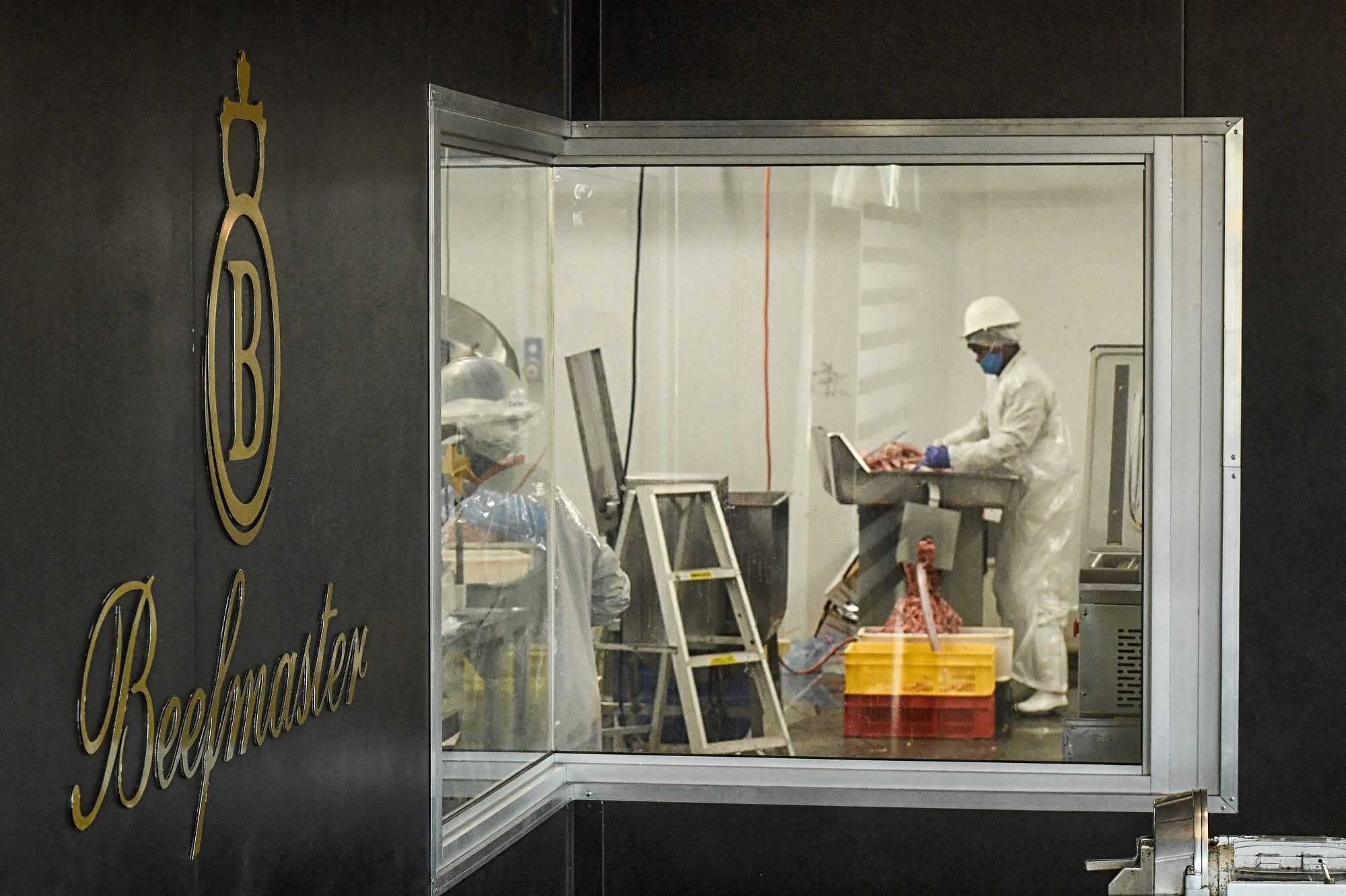 iBeef - Powered By Beefmaster | Your Gateway To Everything Beef